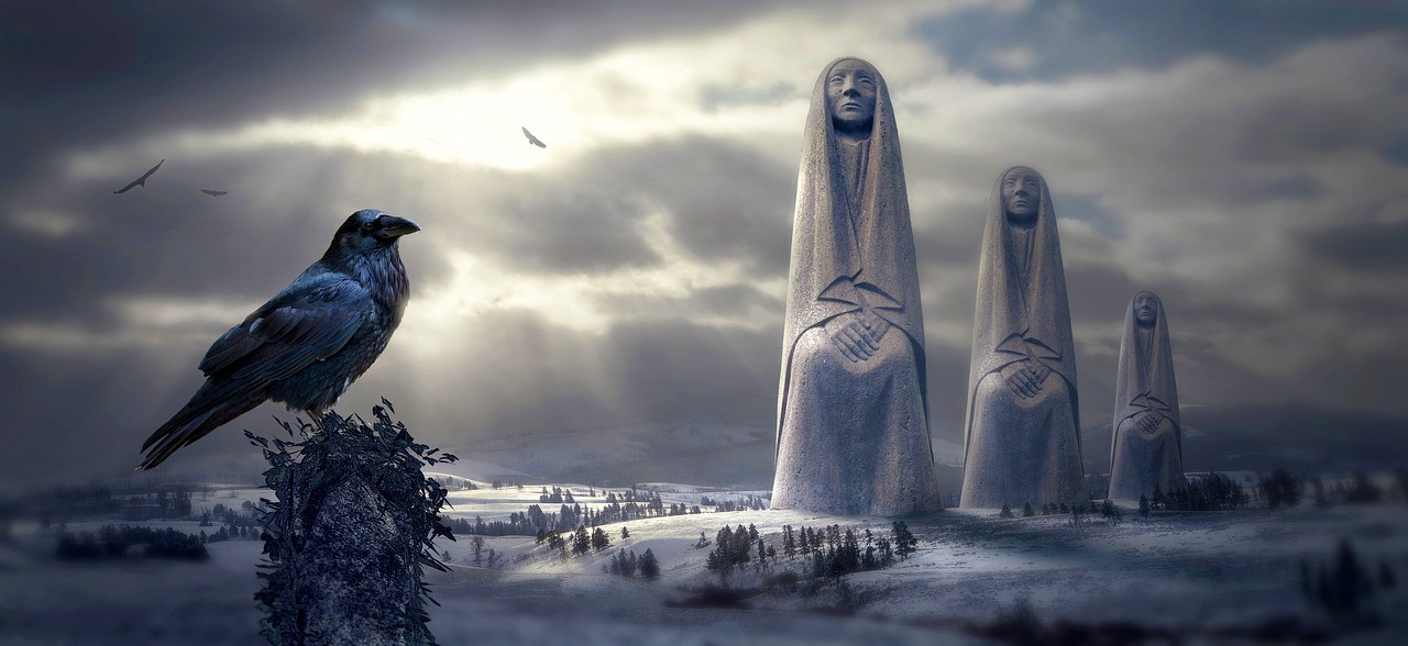 Animal de Poder: CORVO - O totem da magia - Xamanismo