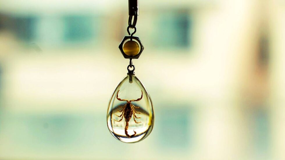 Animal de Poder: PANTERA NEGRA - O totem da proteção - Xamanismo